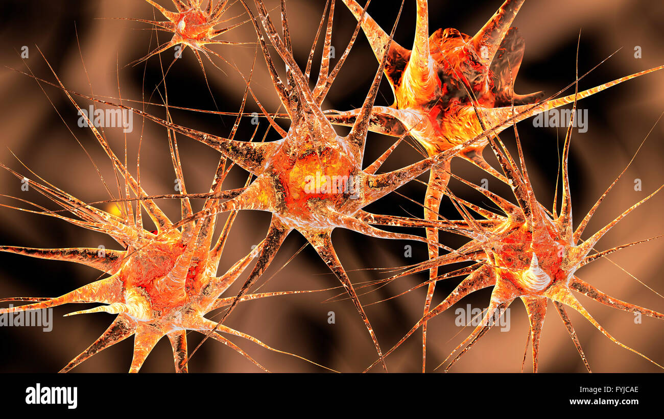 Serotonin microscope hi-res stock photography and images - Alamy
