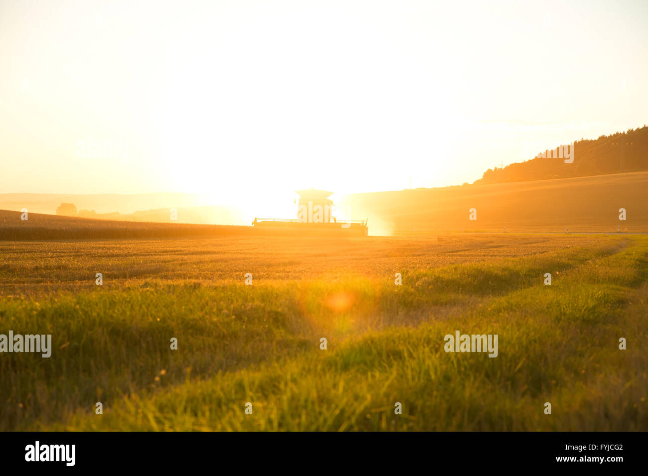 Golden harvesting field sunset hi-res stock photography and images - Alamy