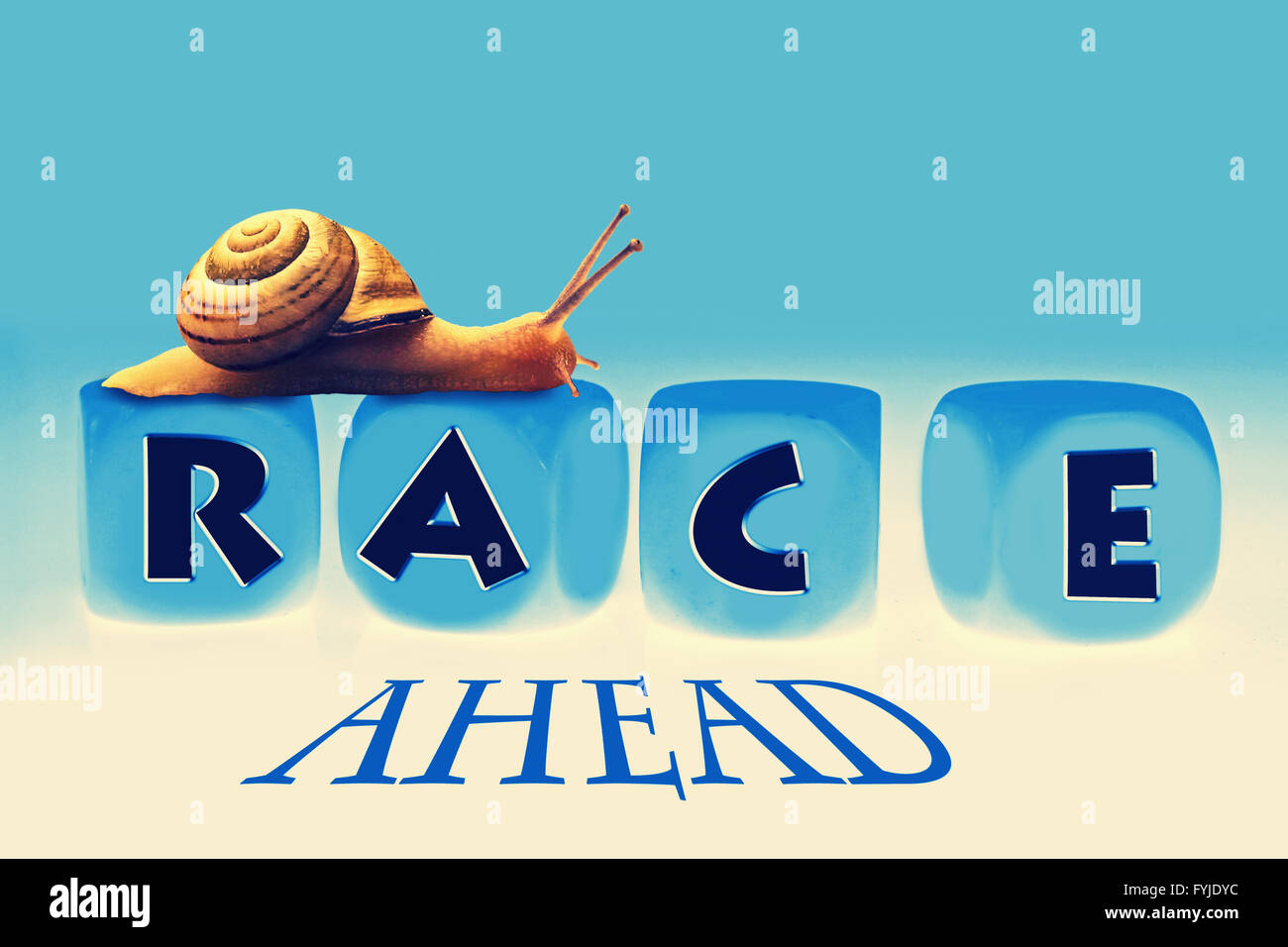 Snail Race, Concept Stock Photo - Alamy