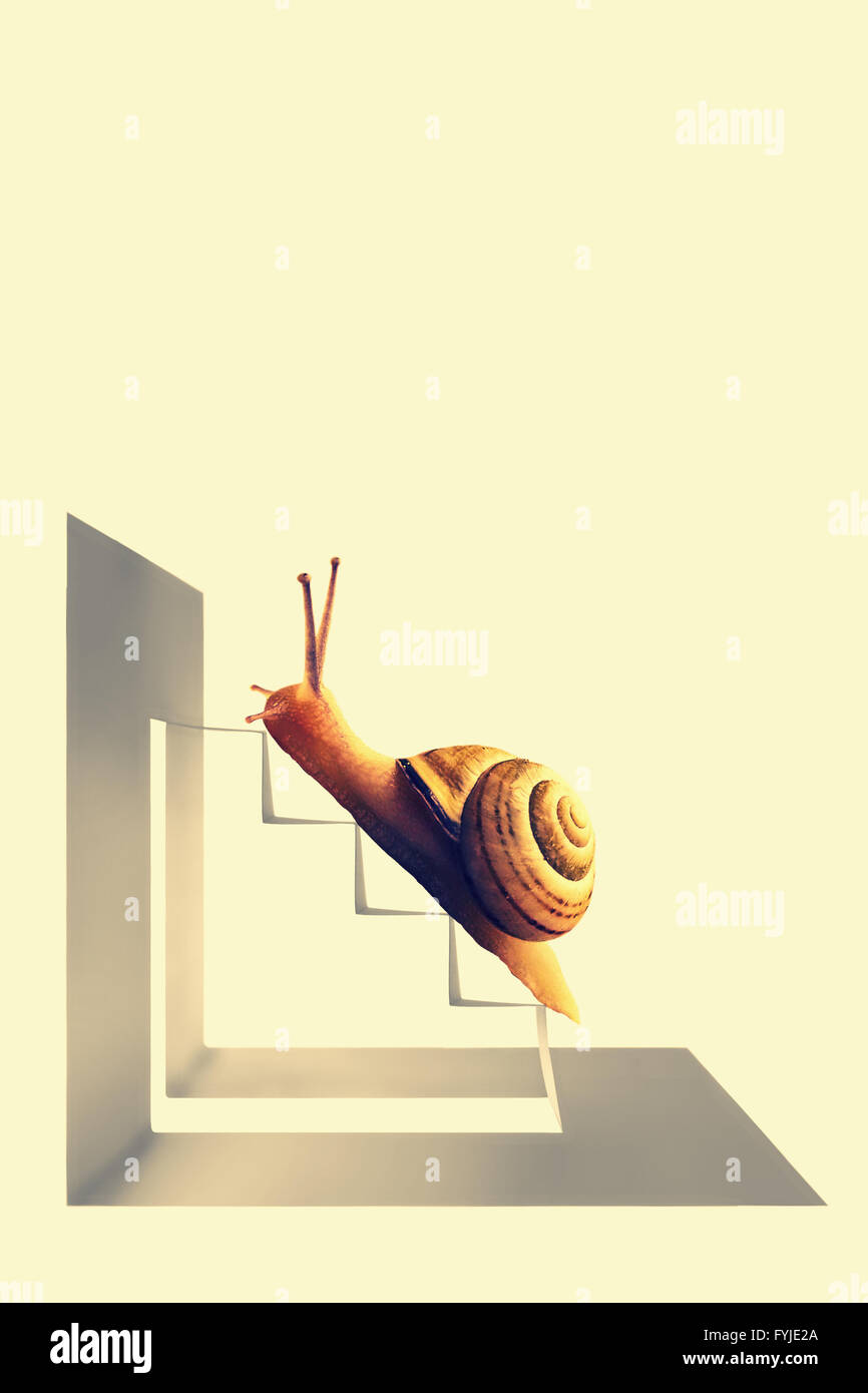 Snail shell staircase hi-res stock photography and images - Alamy