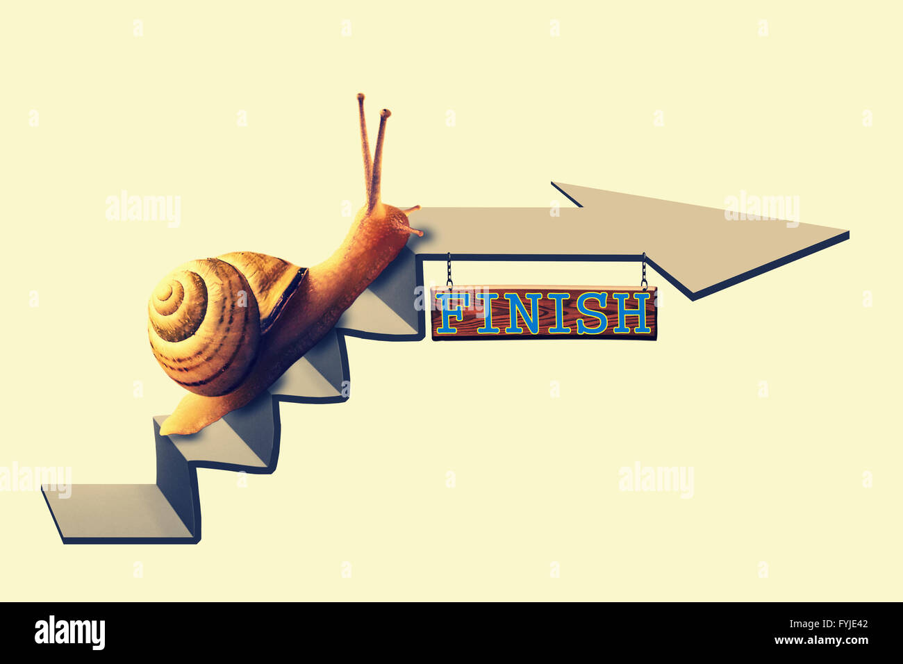 Snail ladder hi-res stock photography and images - Alamy