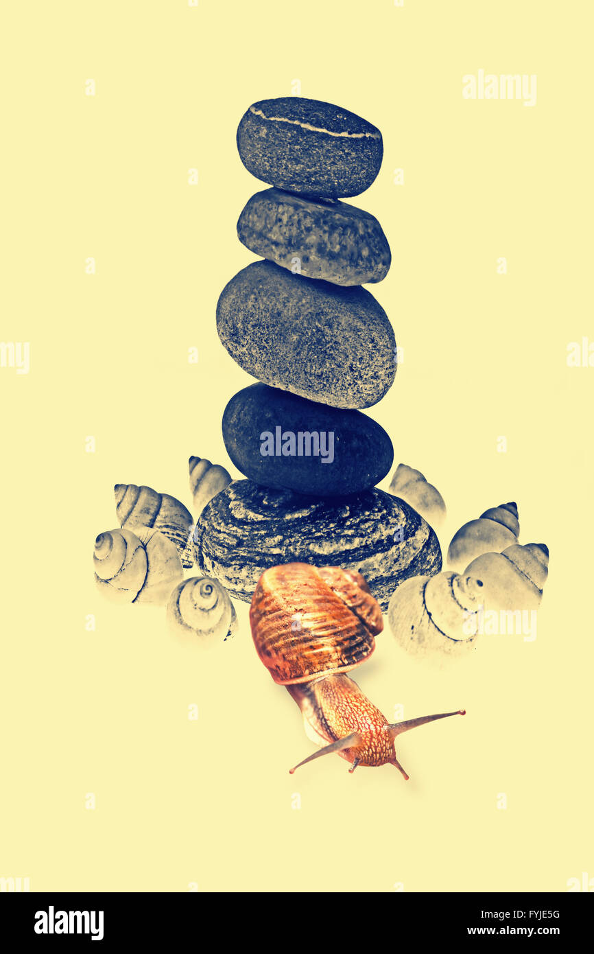 Snail stones hi-res stock photography and images - Alamy