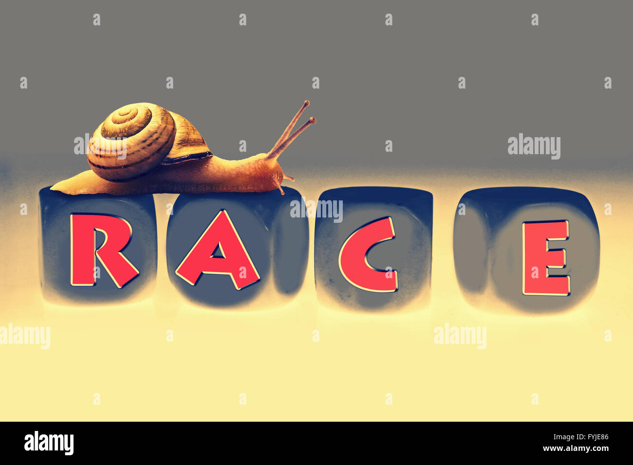 Snail Race, Concept Stock Photo - Alamy