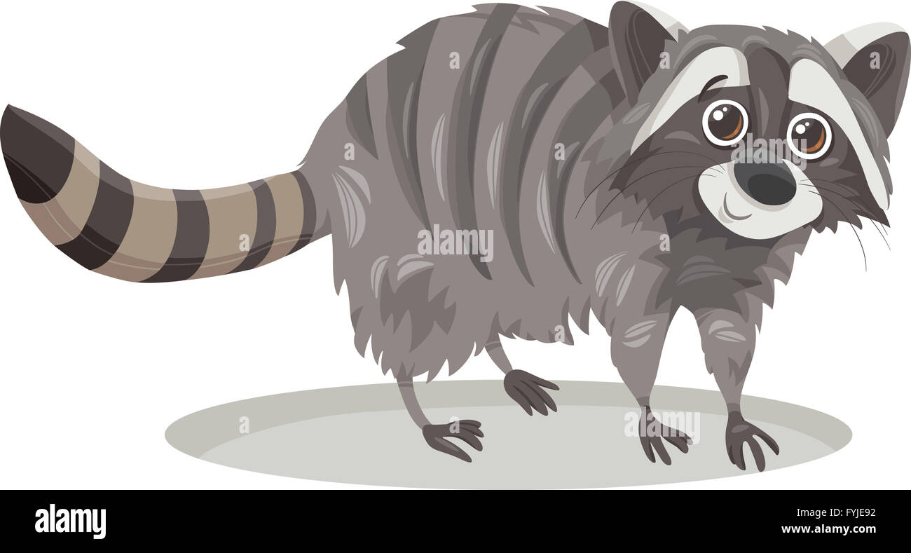 raccoon animal cartoon illustration Stock Photo - Alamy