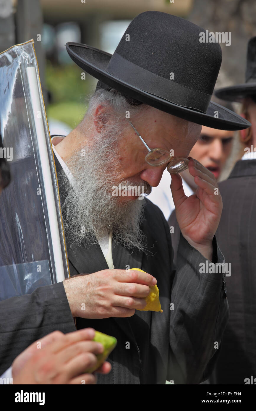 An old orthodox Jew in black hat picks citrus Stock Photo - Alamy