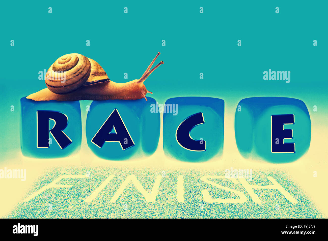 Snail Race, Concept Stock Photo - Alamy