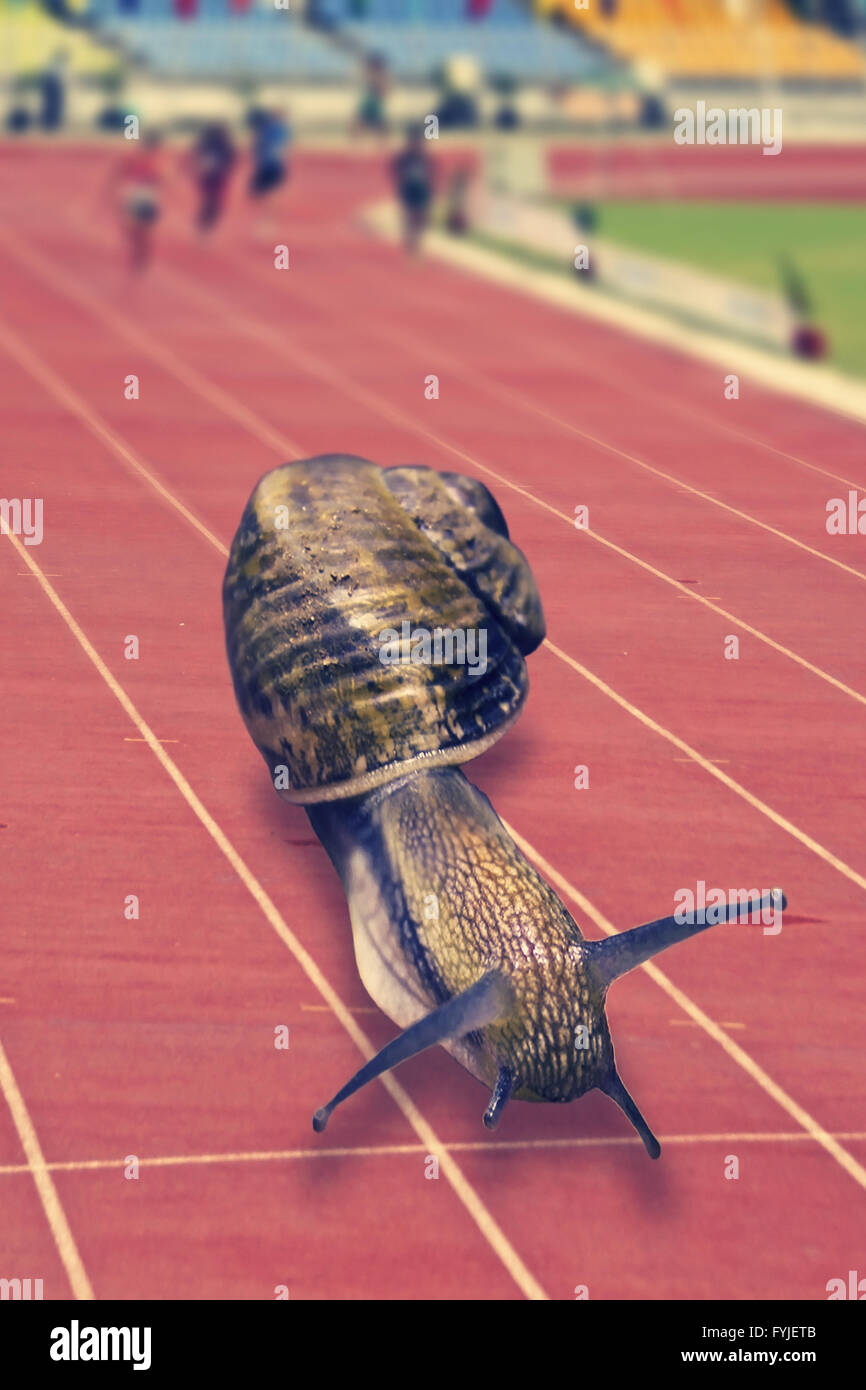 Snail running on track Stock Photo - Alamy