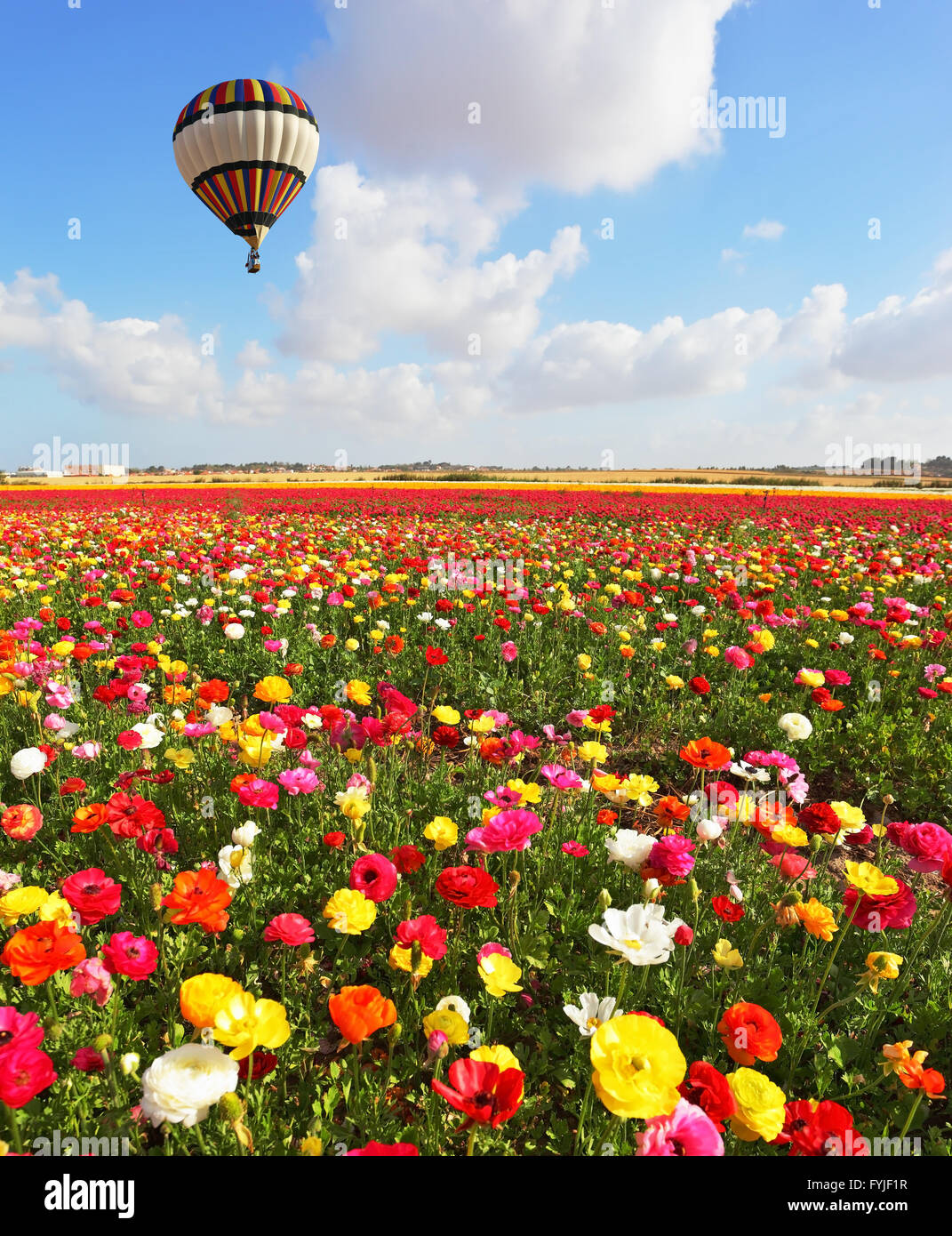 Over the blossoming flowers of flying a balloon Stock Photo - Alamy