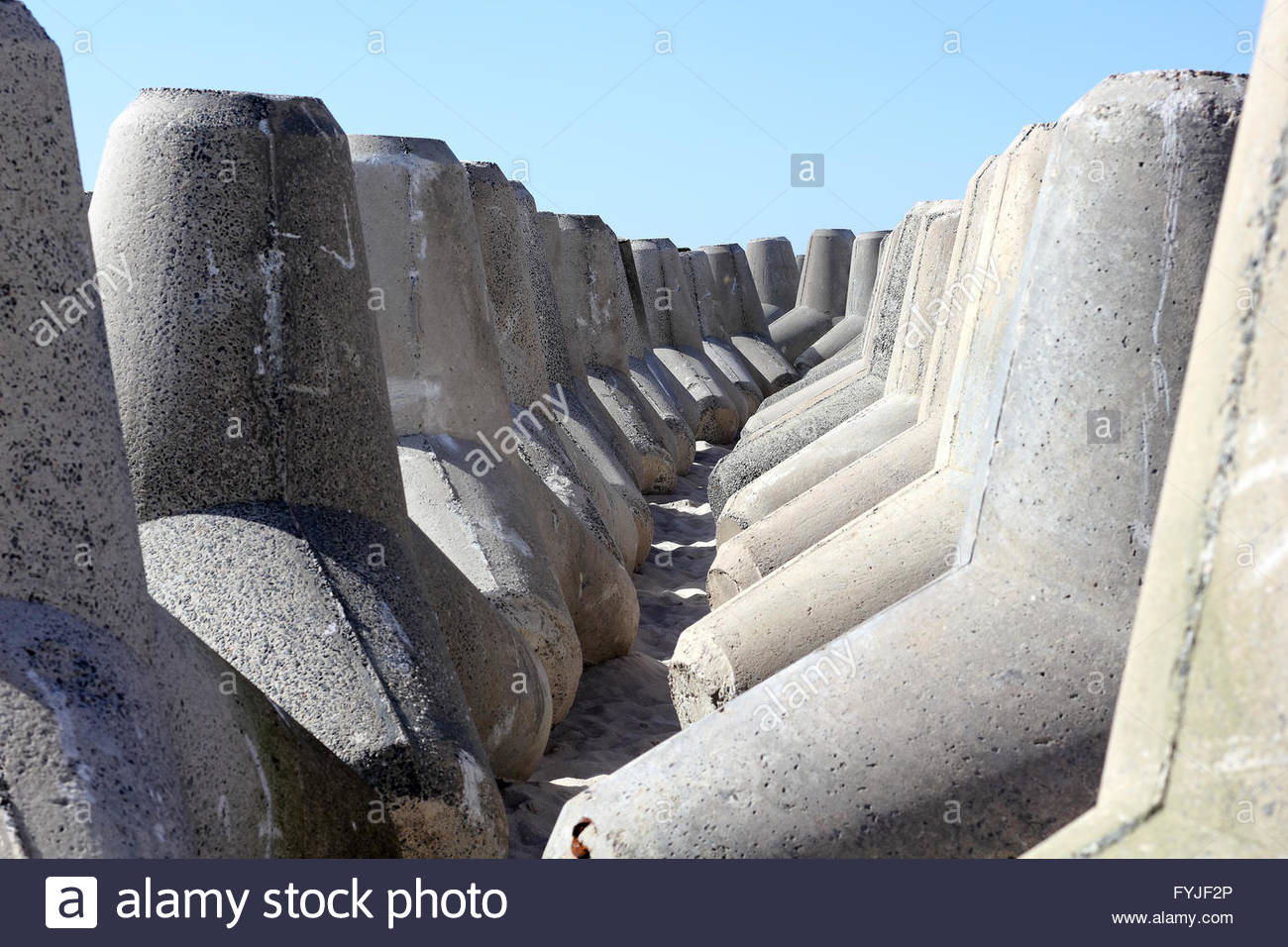 Tetrapods Stock Photos & Tetrapods Stock Images - Alamy