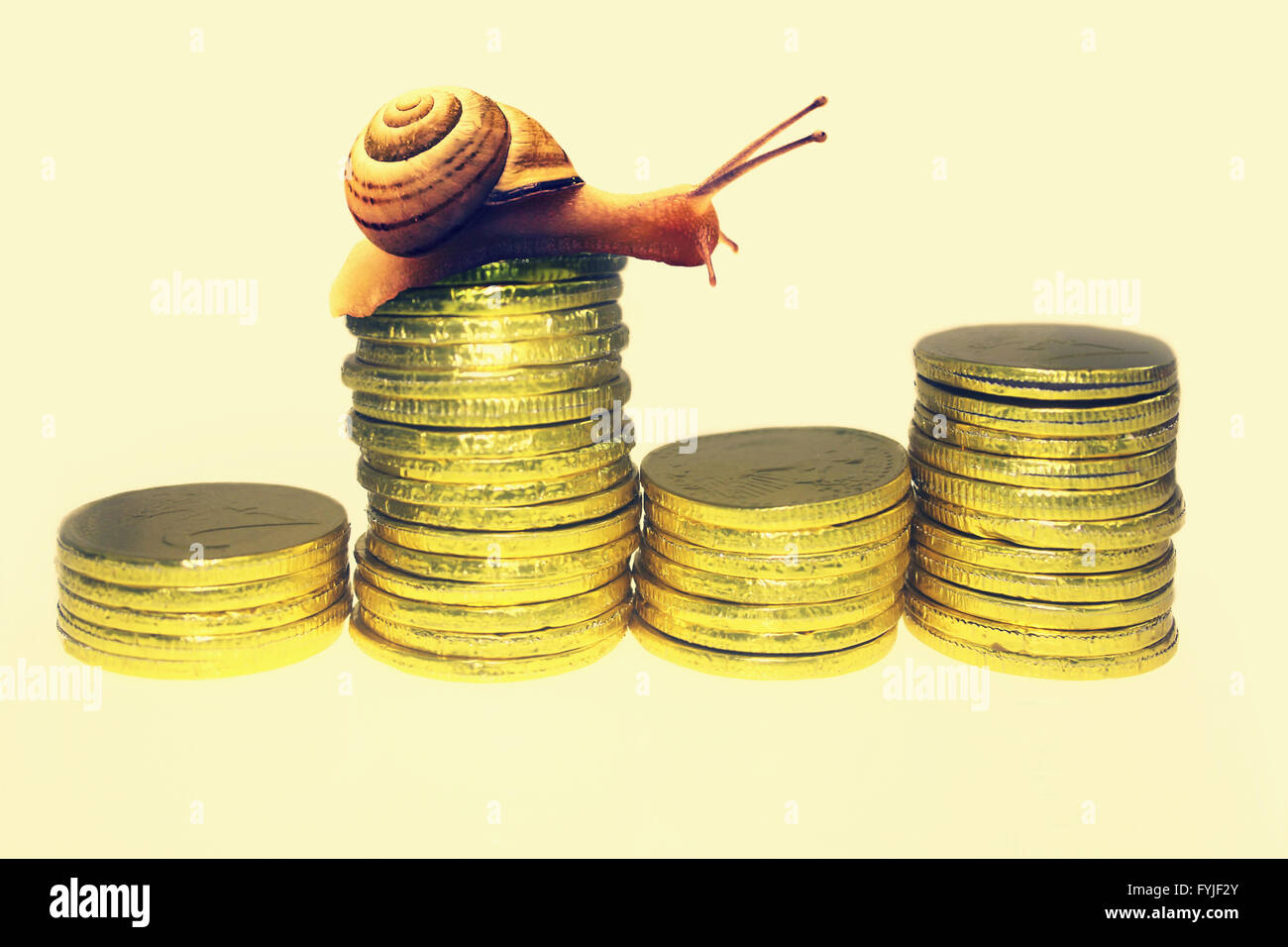 Slow growth hi-res stock photography and images - Alamy