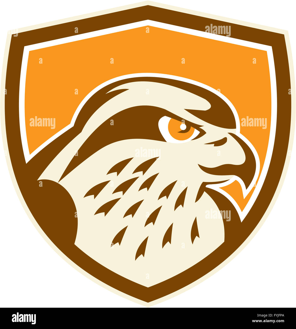 Peregrine Falcon Head Shield Retro Stock Photo - Alamy