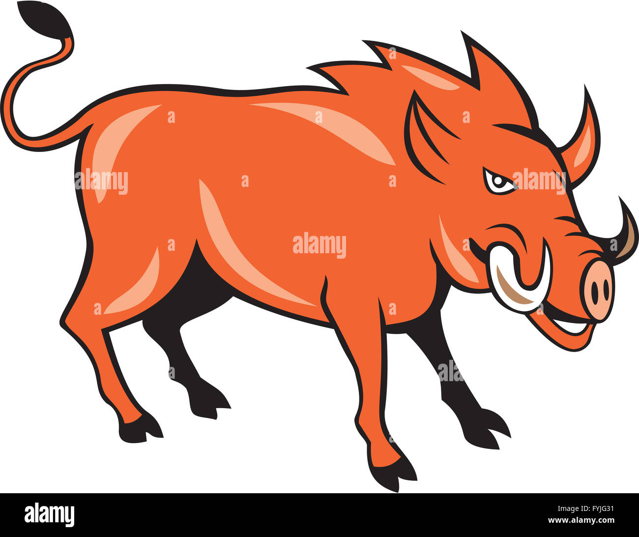 Razorback Head Charge Cartoon Stock Photo - Alamy