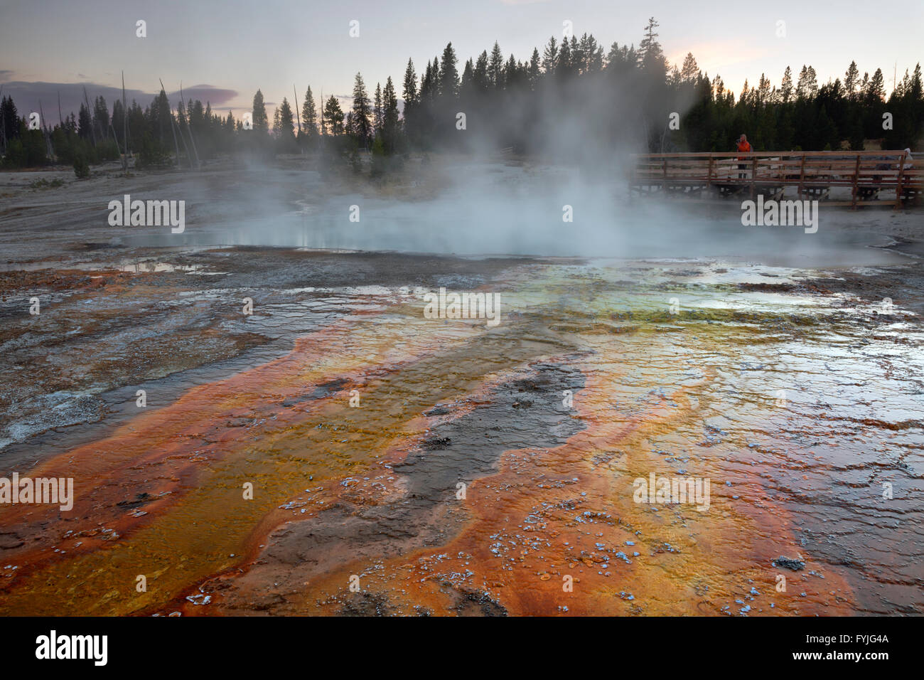 Thermal Pool Yellowstone National Park Usa Algae High Resolution Stock ...