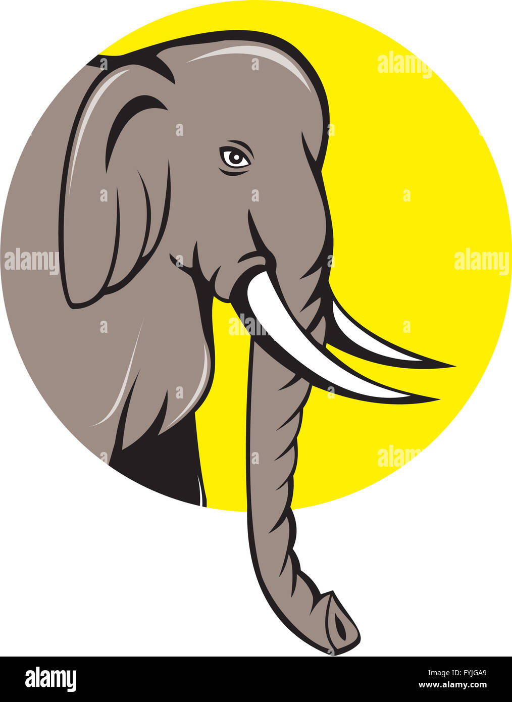 Elephant head cartoon hi-res stock photography and images - Alamy