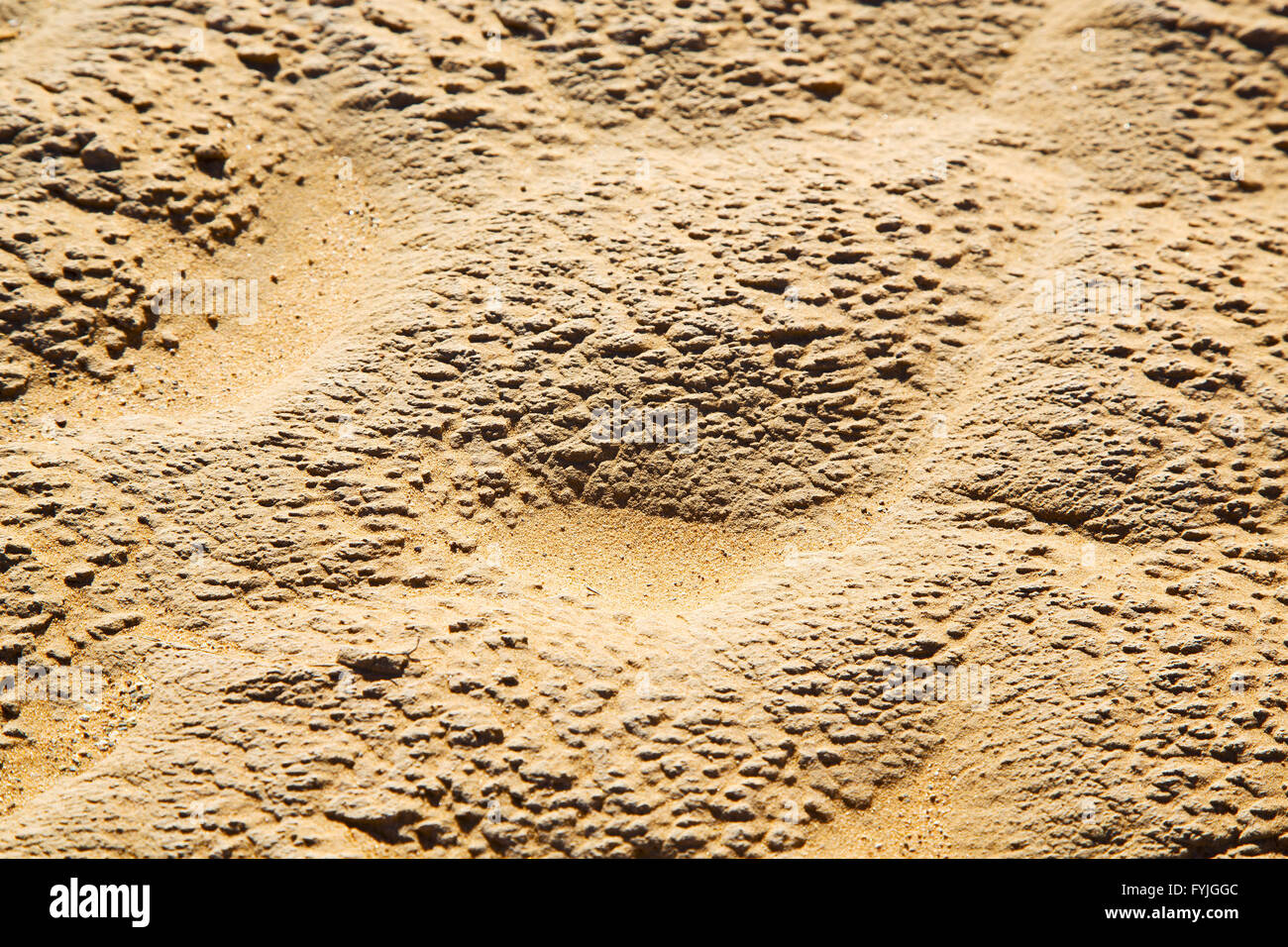 brown dry sand in sahara Stock Photo - Alamy