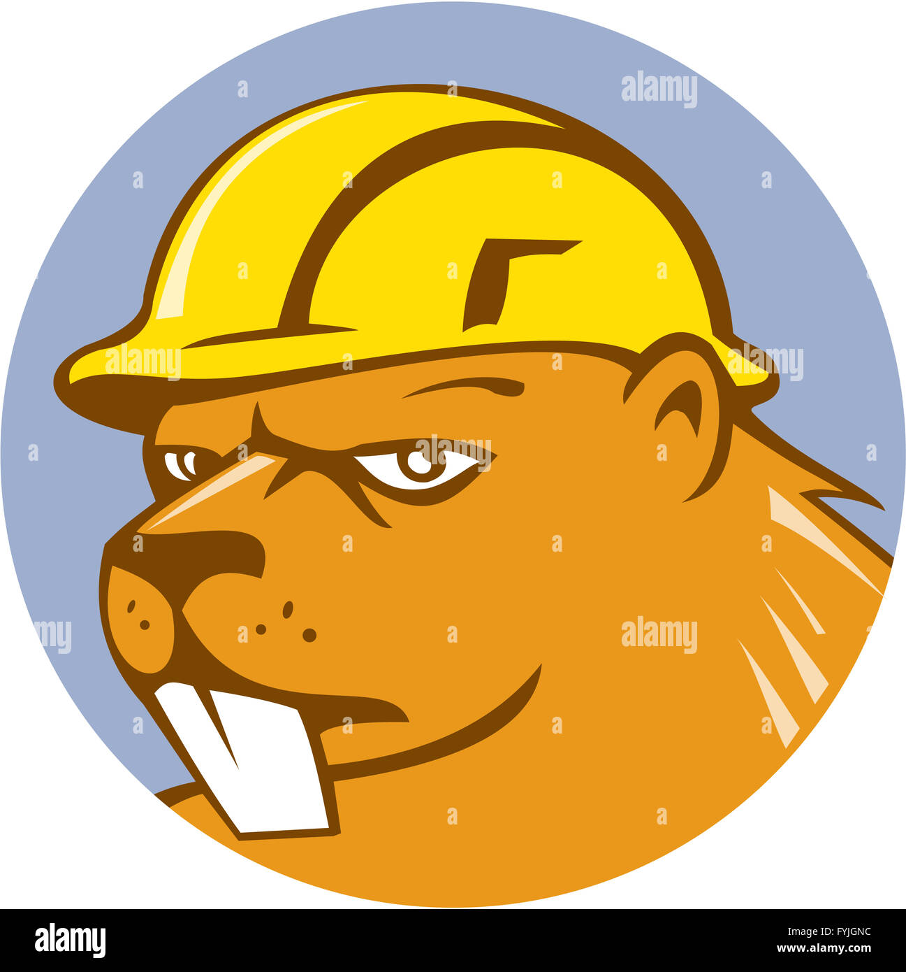 Beaver construction hi-res stock photography and images - Alamy