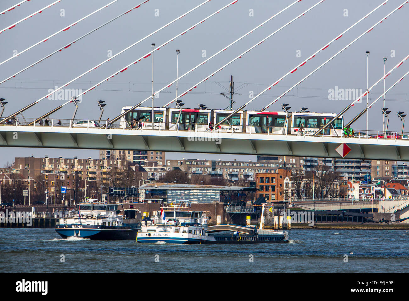 Erasmus bridge over river Nieuwe Maas, skyline of downtown Rotterdam ...