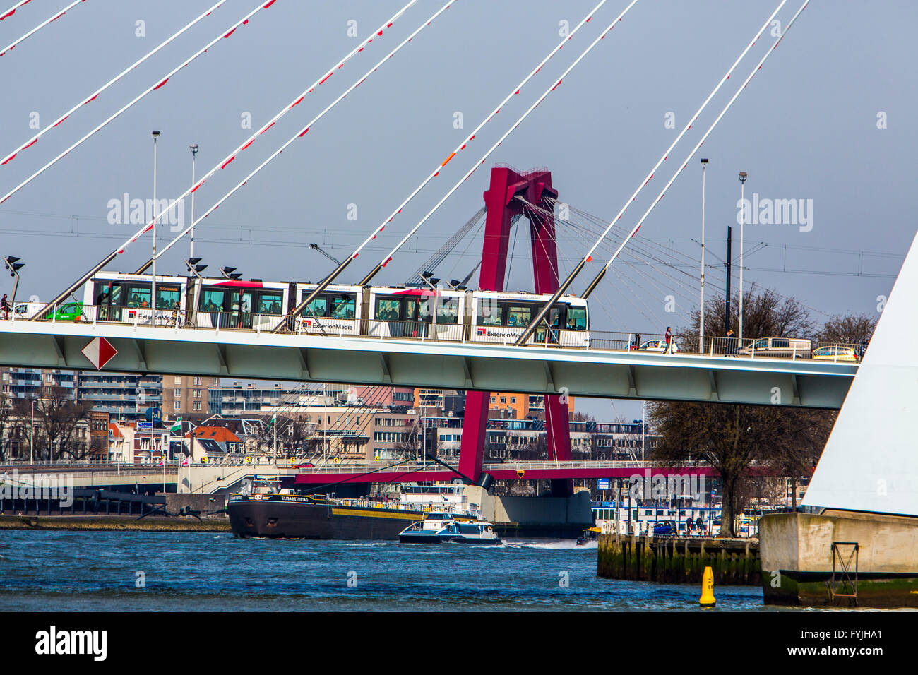 Erasmus bridge over river Nieuwe Maas, skyline of downtown Rotterdam ...