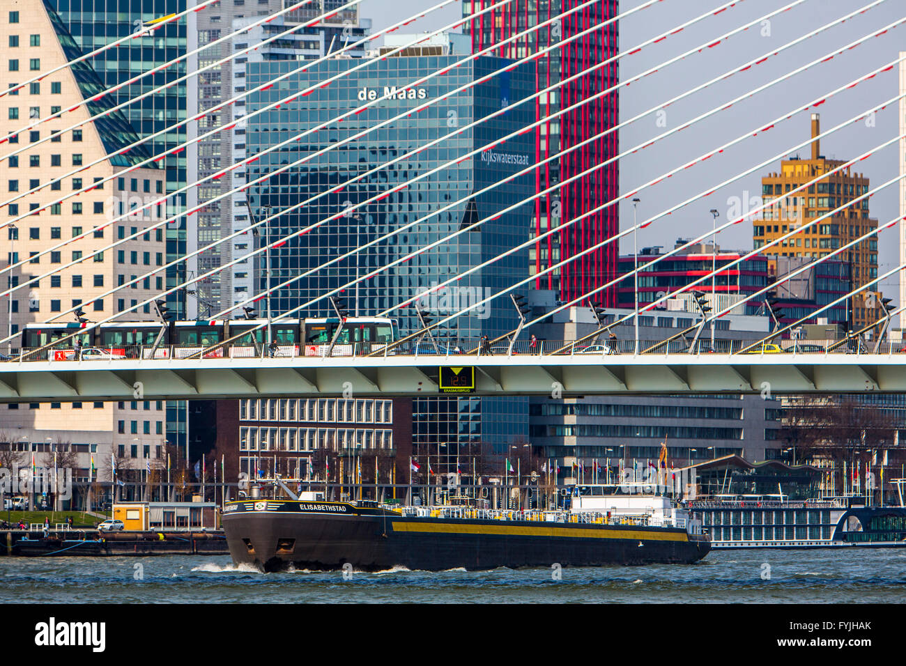 Erasmus bridge over river Nieuwe Maas, skyline of downtown Rotterdam ...