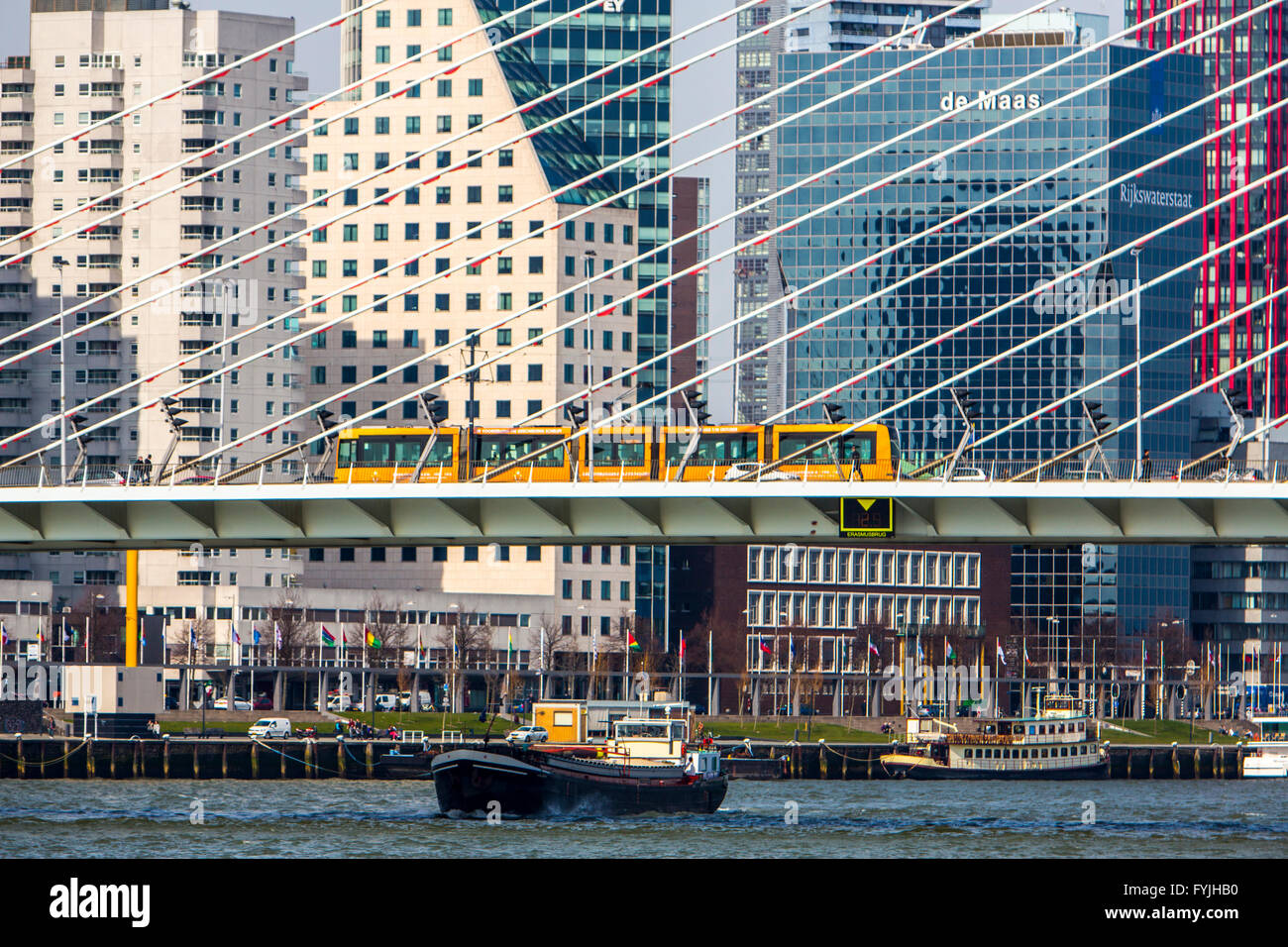 Erasmus bridge over river Nieuwe Maas, skyline of downtown Rotterdam ...