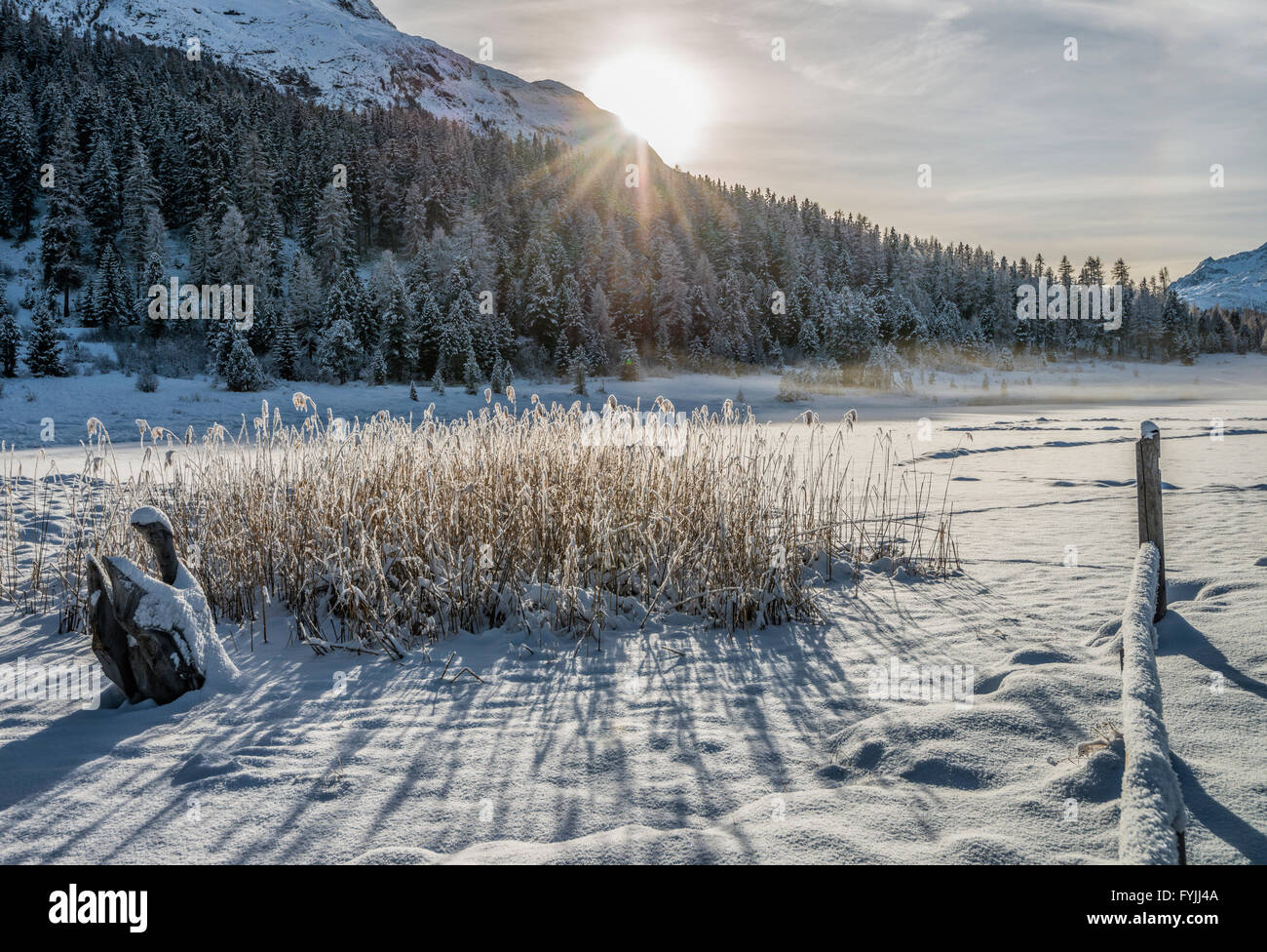 Winter Landscape at Lej da Staz, Engadine, Grisons, Switzerland Stock ...