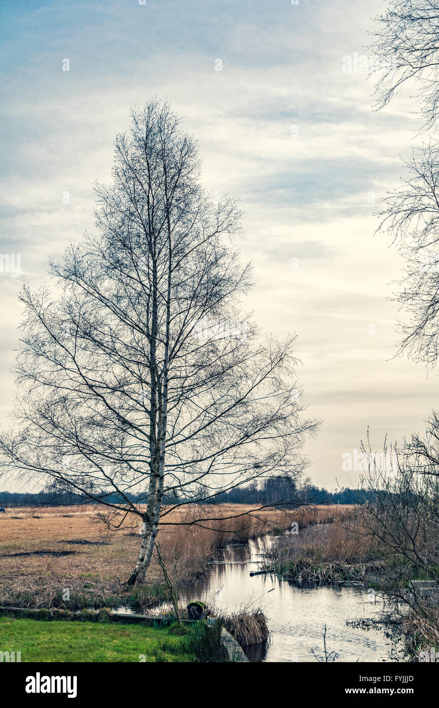 Kalenberg hi-res stock photography and images - Alamy