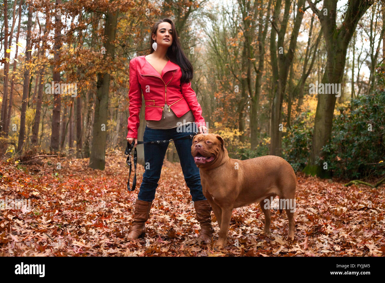 Sturdy animal hi-res stock photography and images - Alamy