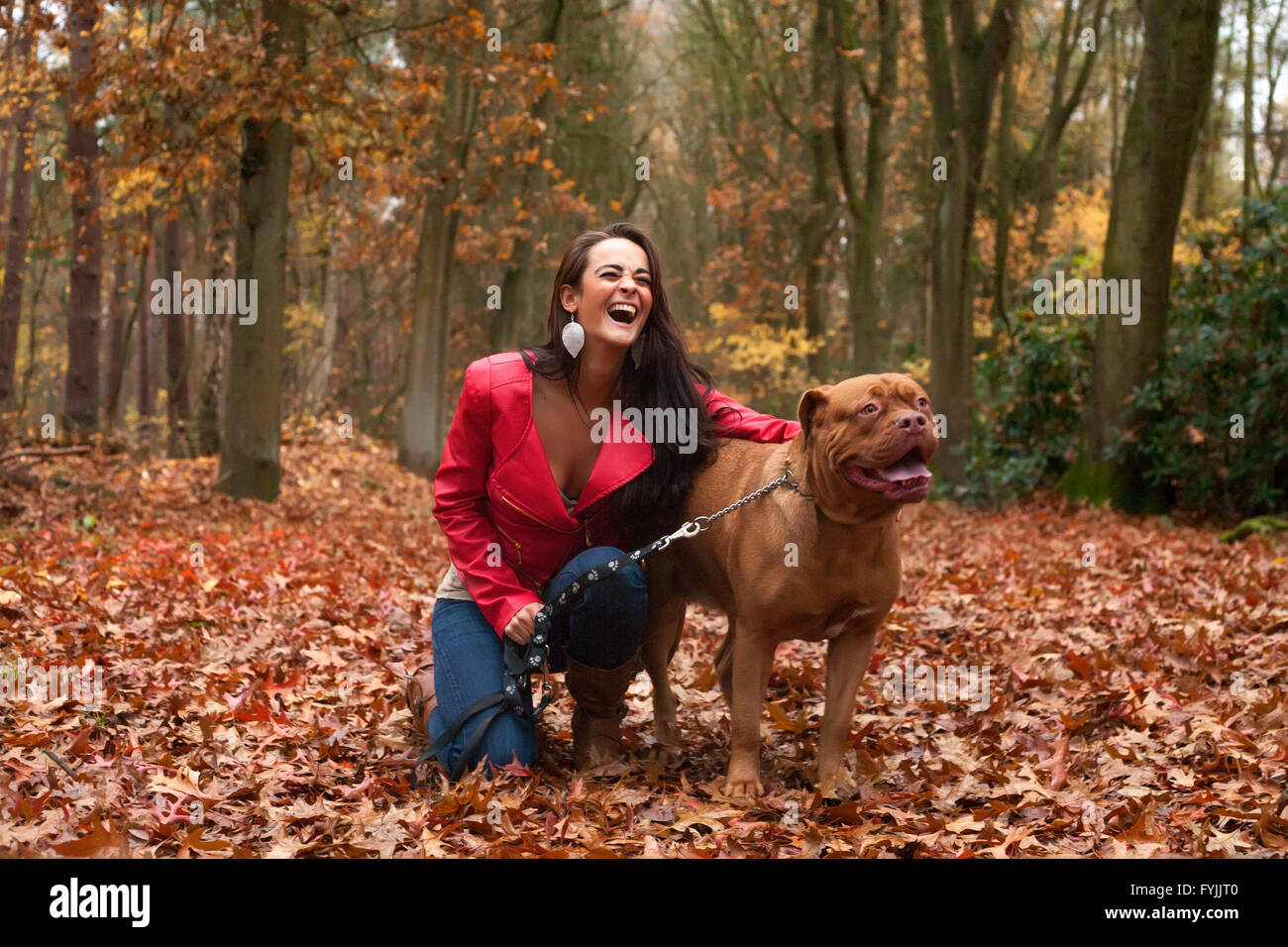 Domestic animals having fun hi-res stock photography and images - Alamy