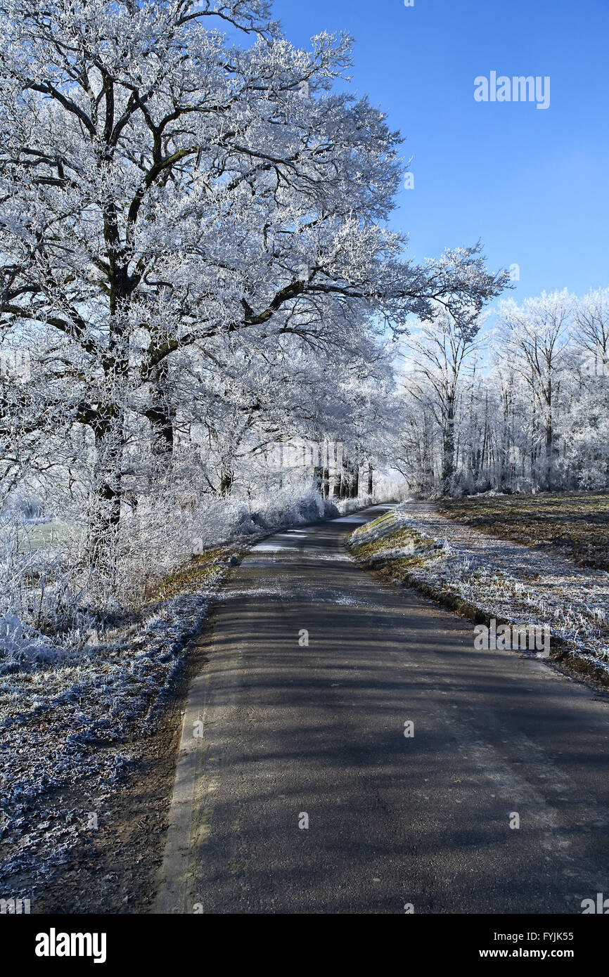 Icy landscape hi-res stock photography and images - Alamy
