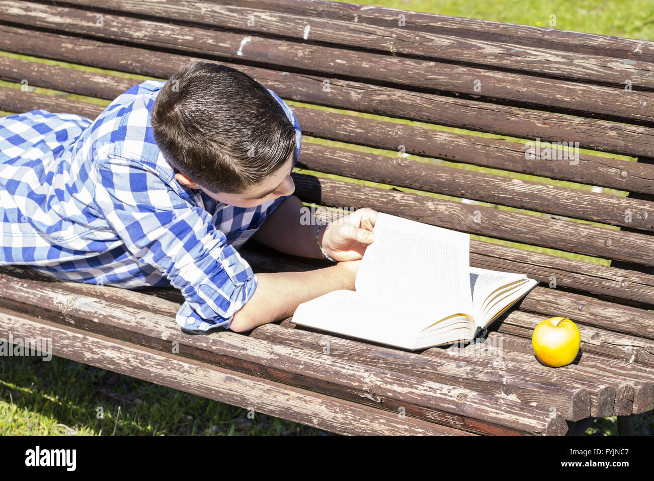 School.Young boy reading a book in the Park Bench, summer Stock Photo ...