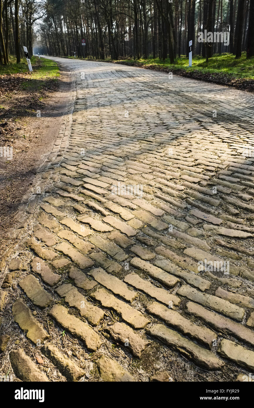 Road with brick pavement, Brandenburg, Germany Stock Photo - Alamy