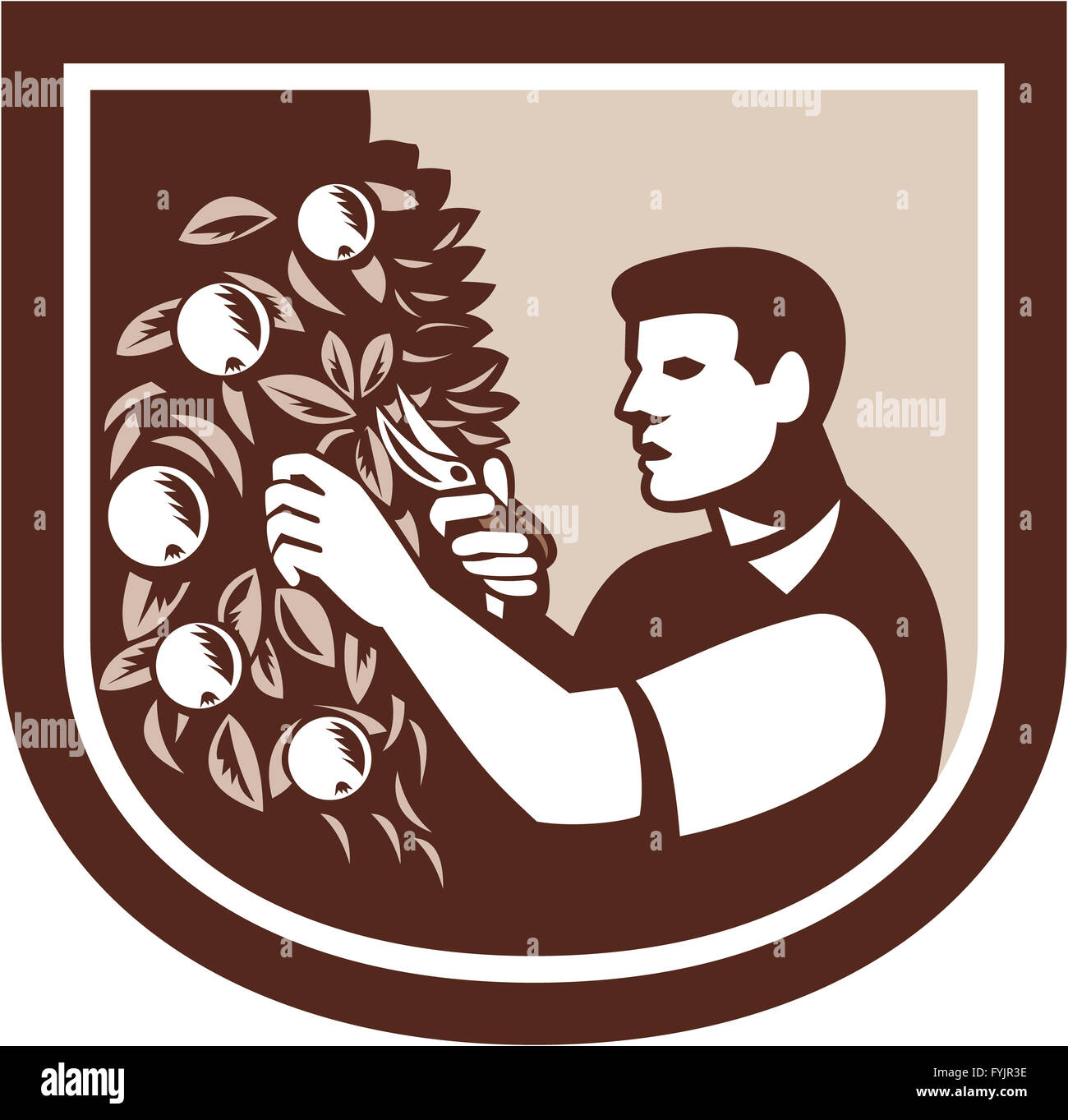 Orchardist hi-res stock photography and images - Alamy