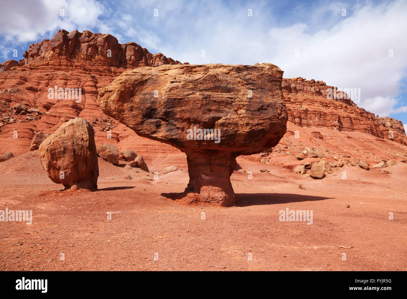 Arizona mushroom hi-res stock photography and images - Alamy