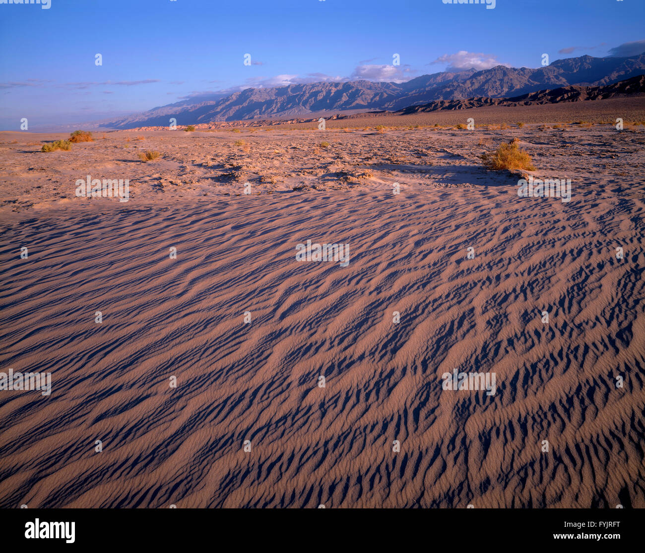 USA, California, Death Valley National Park, Textures in sand dunes at ...