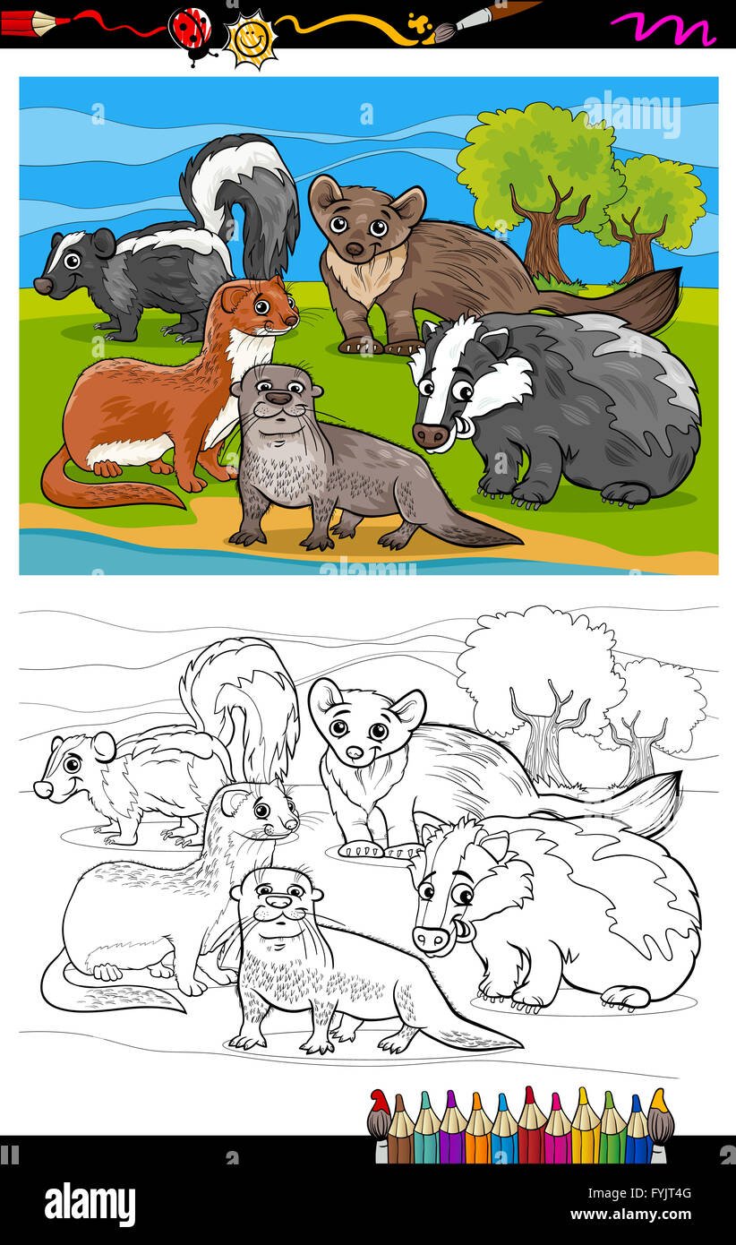 mustelids animals cartoon coloring book Stock Photo - Alamy