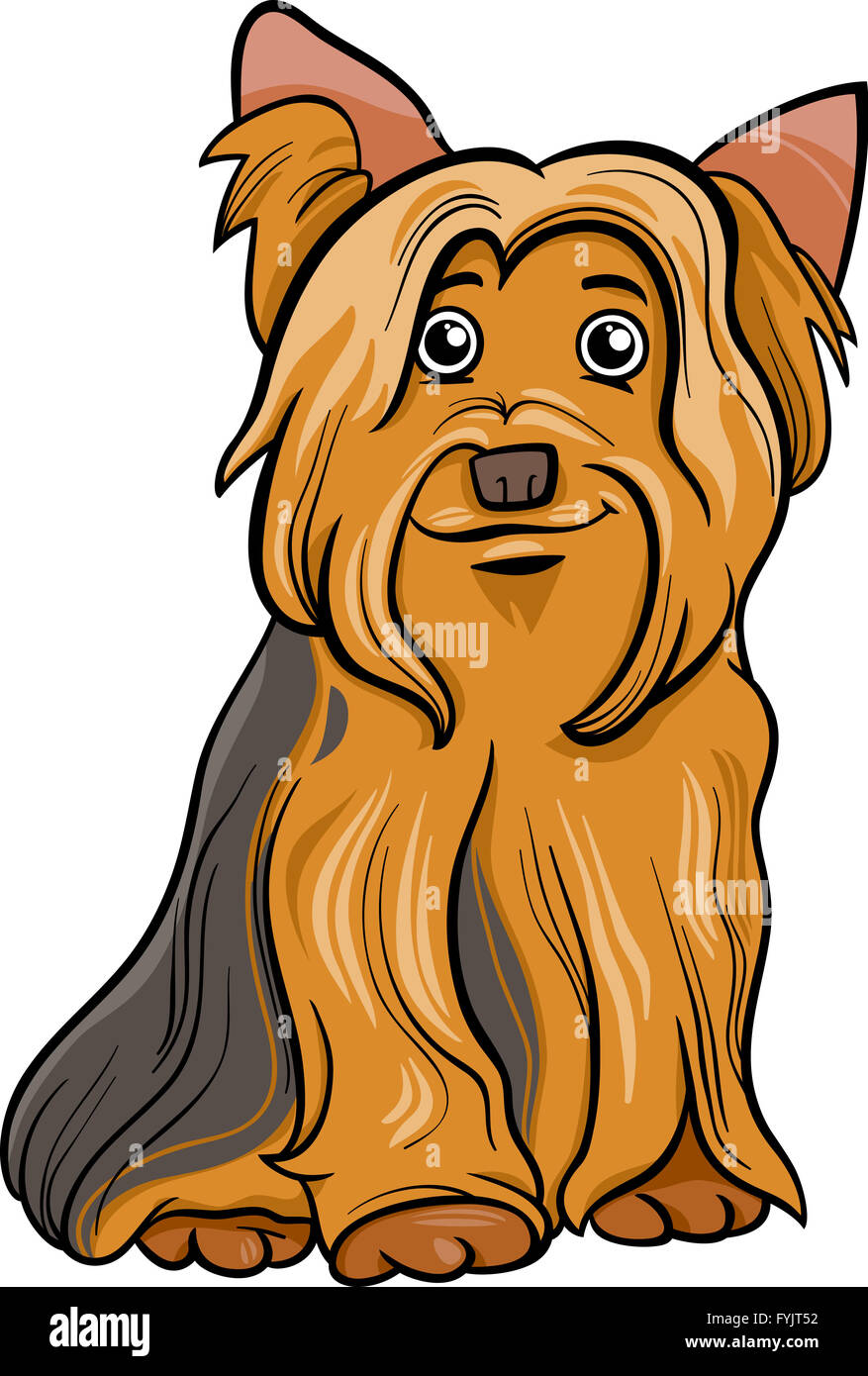 Cartoon illustration cute yorkshire terrier hi-res stock photography ...