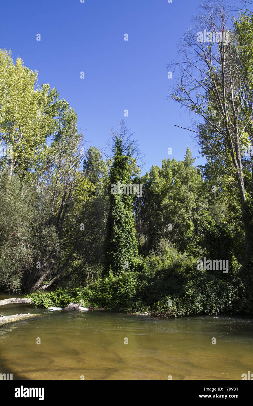 alberche riverbank in Toledo, Castilla La Mancha, Spain Stock Photo - Alamy