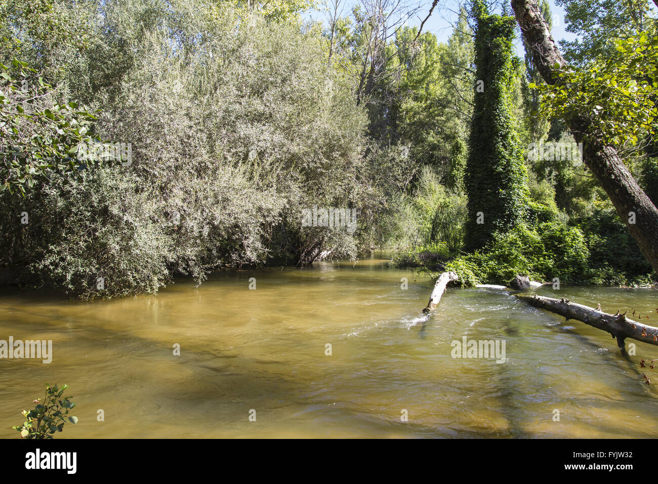 Alberche riverbank in toledo castilla hi-res stock photography and ...