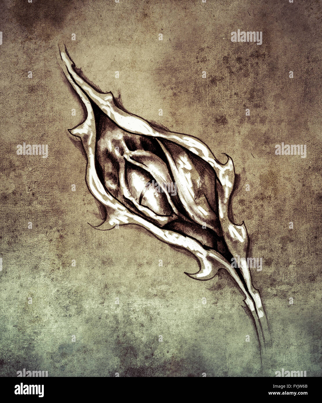 Sketch of tattoo art, dragon under skin Stock Photo - Alamy