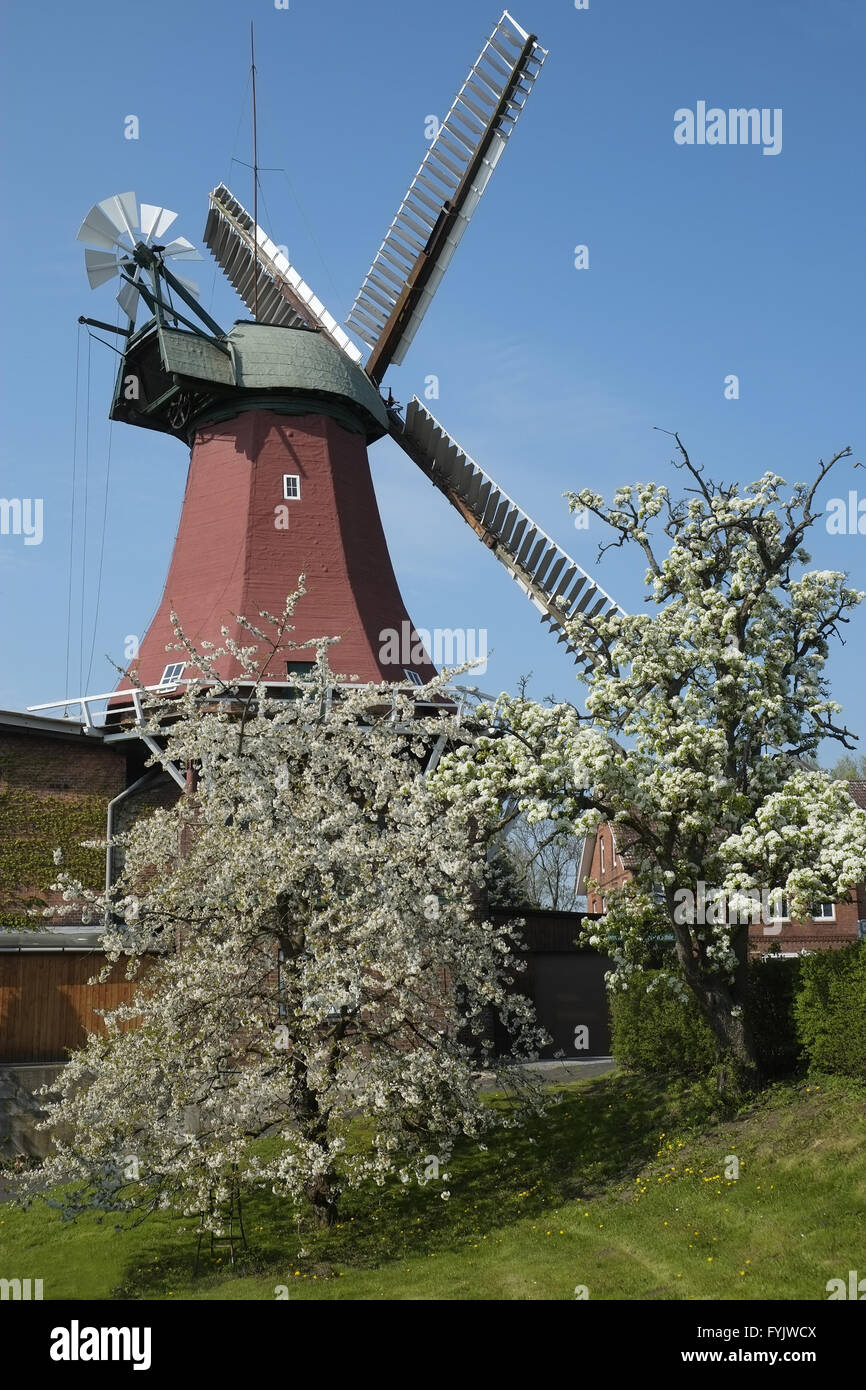 Lernobjekt hi-res stock photography and images - Alamy