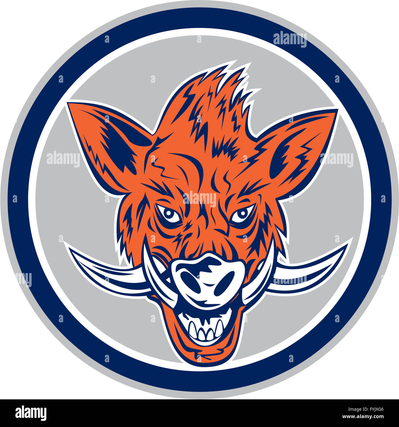 Wild Boar Razorback Head Circle Retro Stock Photo - Alamy