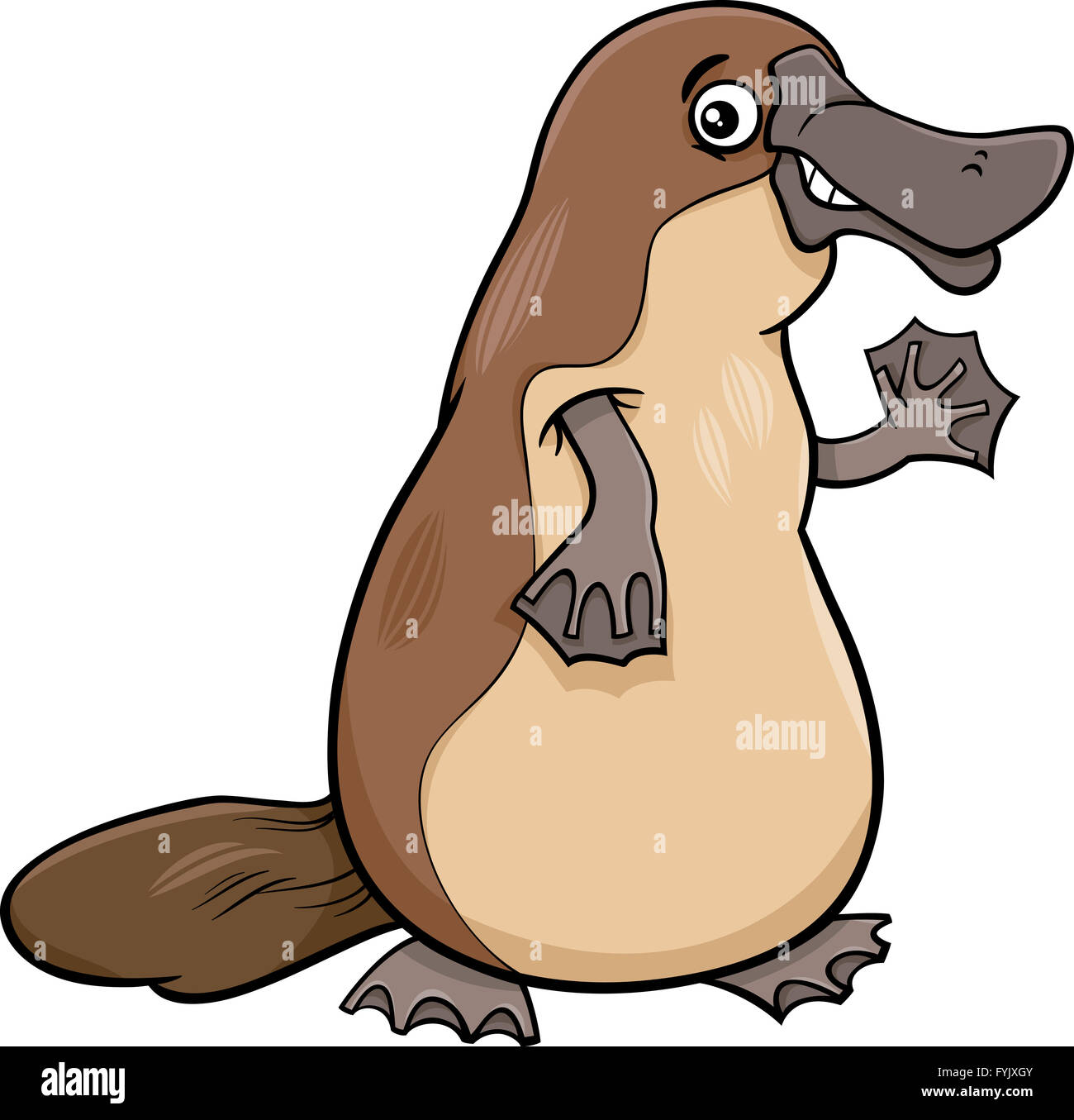 platypus animal cartoon illustration Stock Photo - Alamy