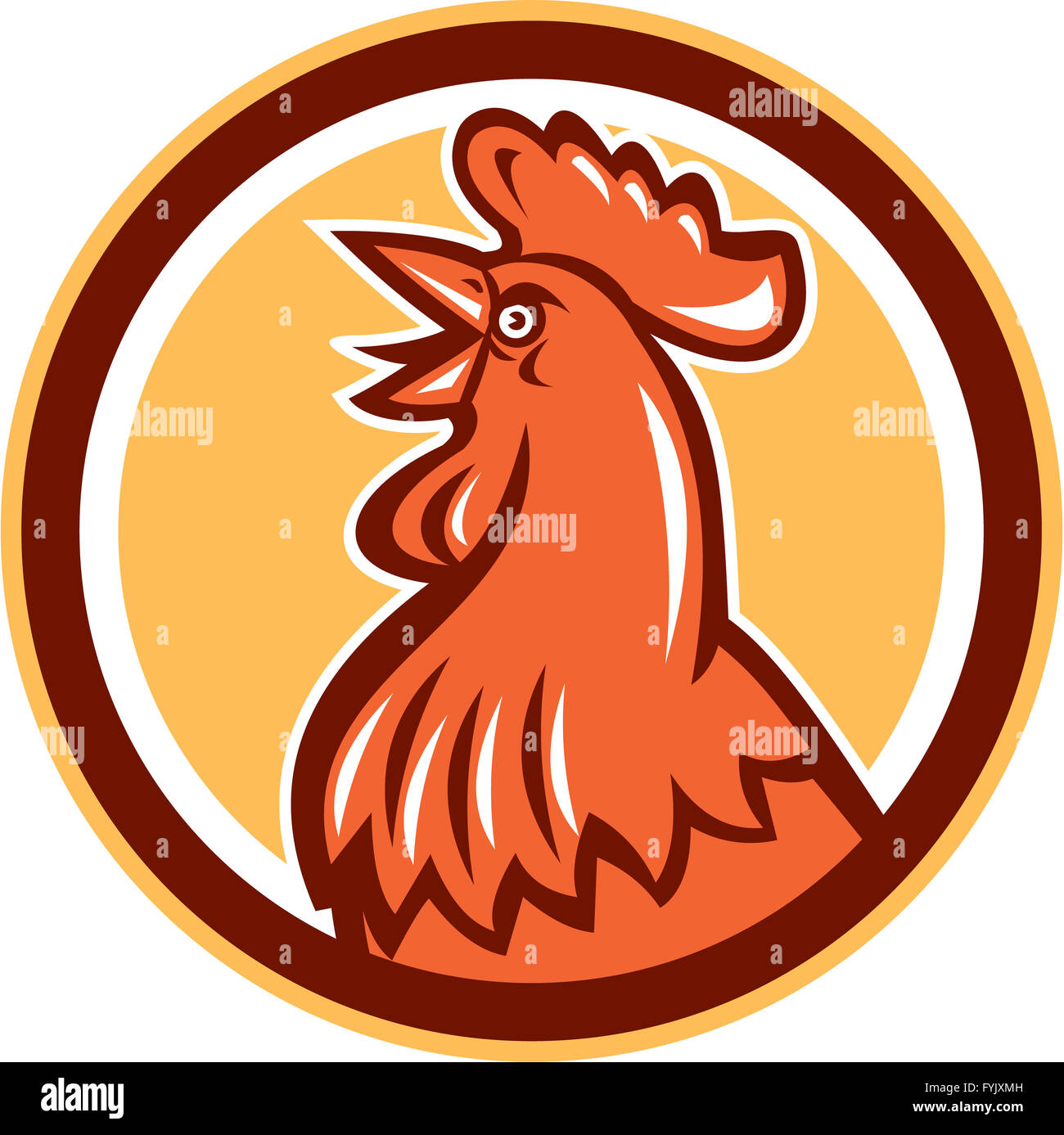 Chicken rooster head side view hi-res stock photography and images - Alamy