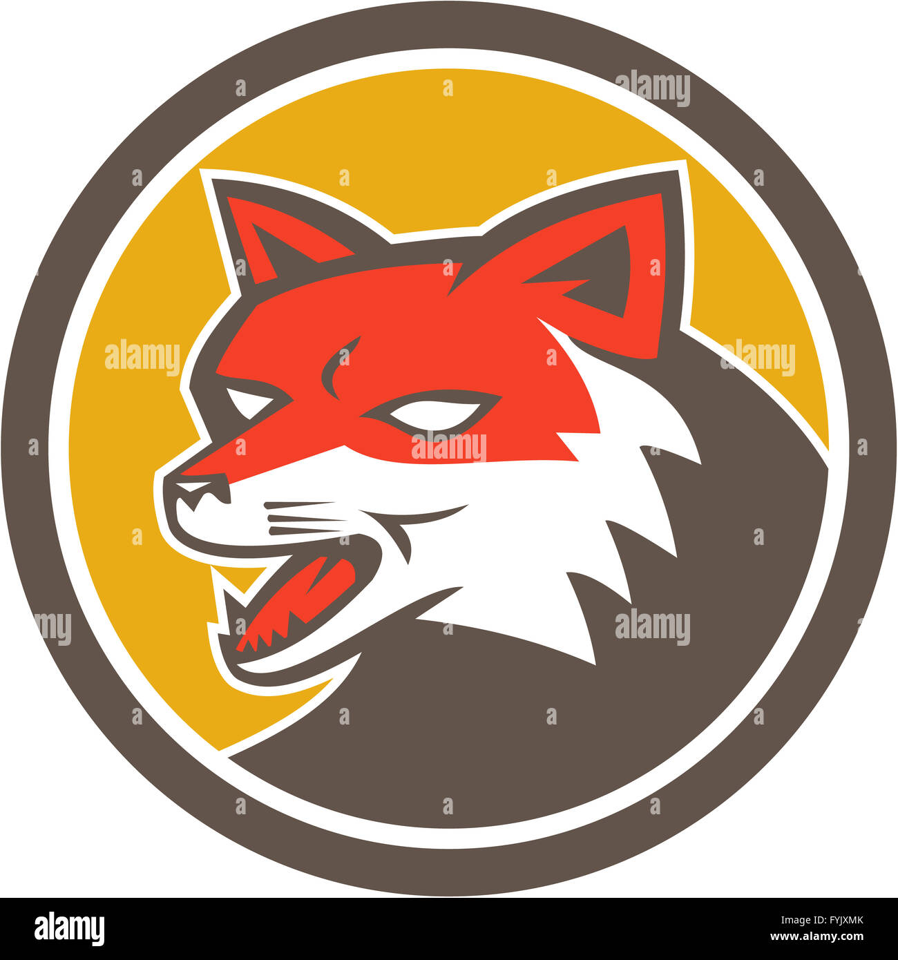 Growling fox hi-res stock photography and images - Alamy