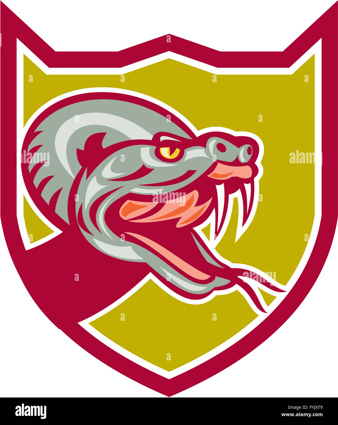 Rattle Snake Head Shield Retro Stock Photo - Alamy