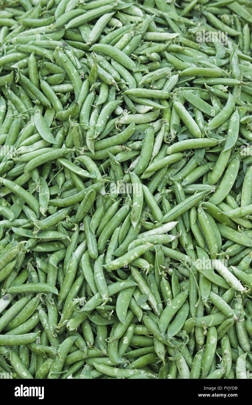 Peas full frame hi-res stock photography and images - Alamy
