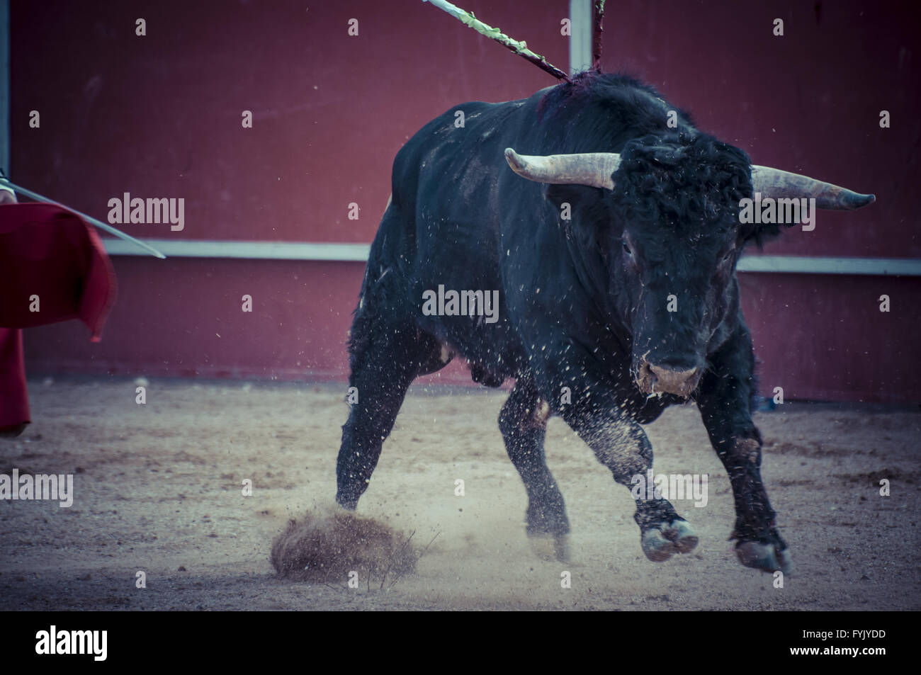 Dead people blood hi-res stock photography and images - Alamy