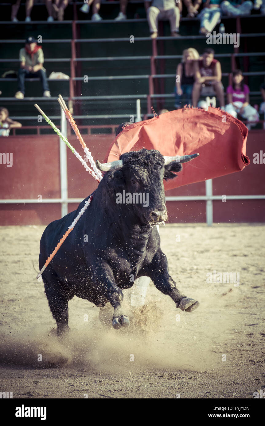 Bullfighting spectacle hi-res stock photography and images - Alamy