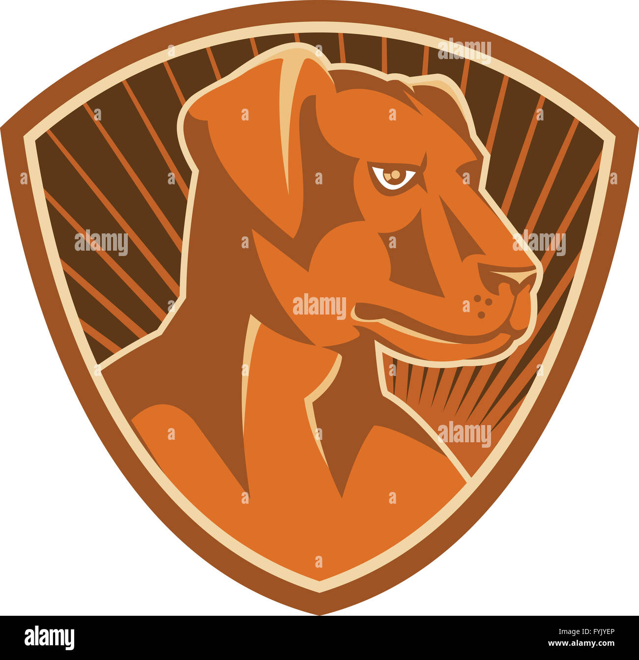 Sheepdog Border Collie Shield Retro Stock Photo - Alamy