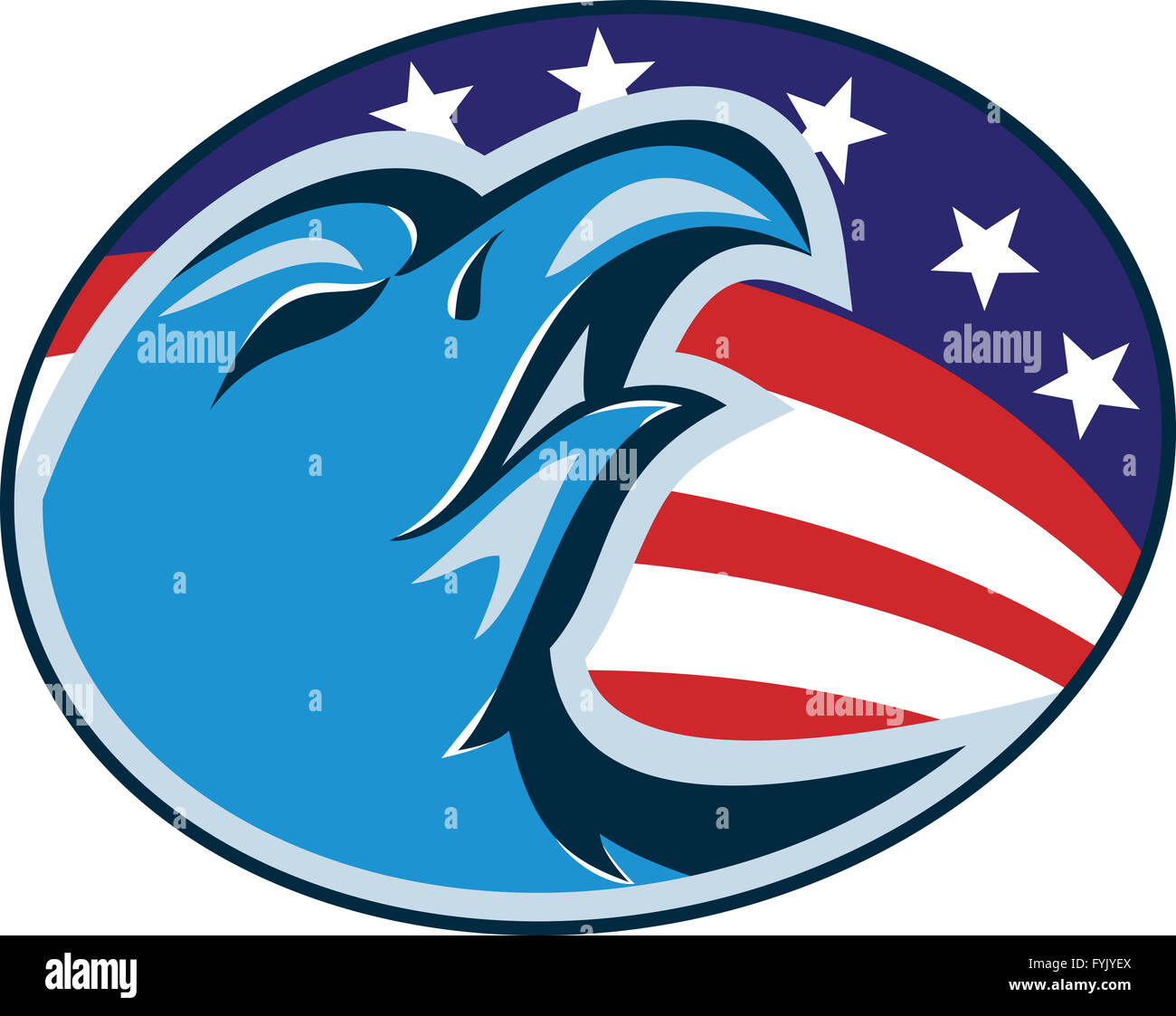 American Bald Eagle Head Flag Retro Stock Photo - Alamy